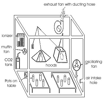 Cannabis Grow Room Plans