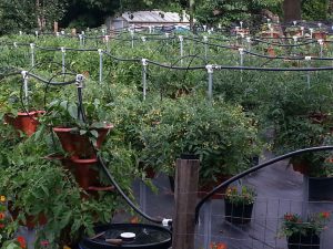 Vertical Micro Farming Urban Style July 4 2018 - Grow Shop